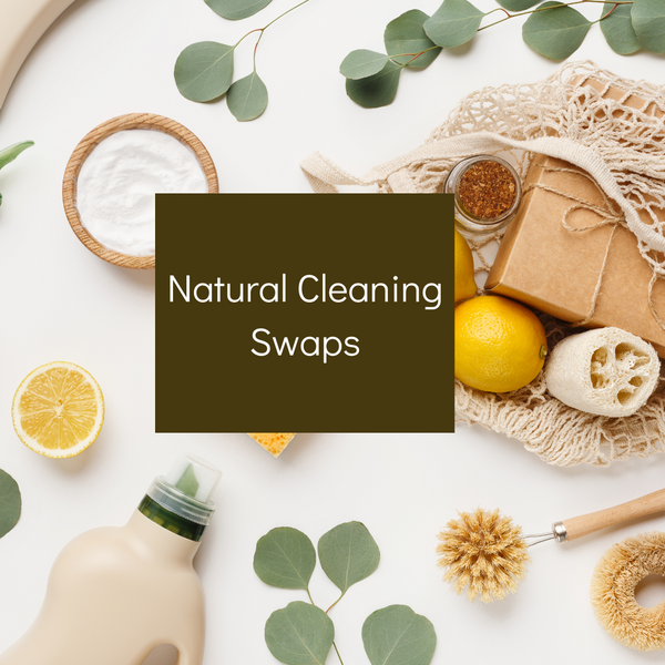 Simple Natural Swaps for Everyday Cleaning Products – Red's Gone Green